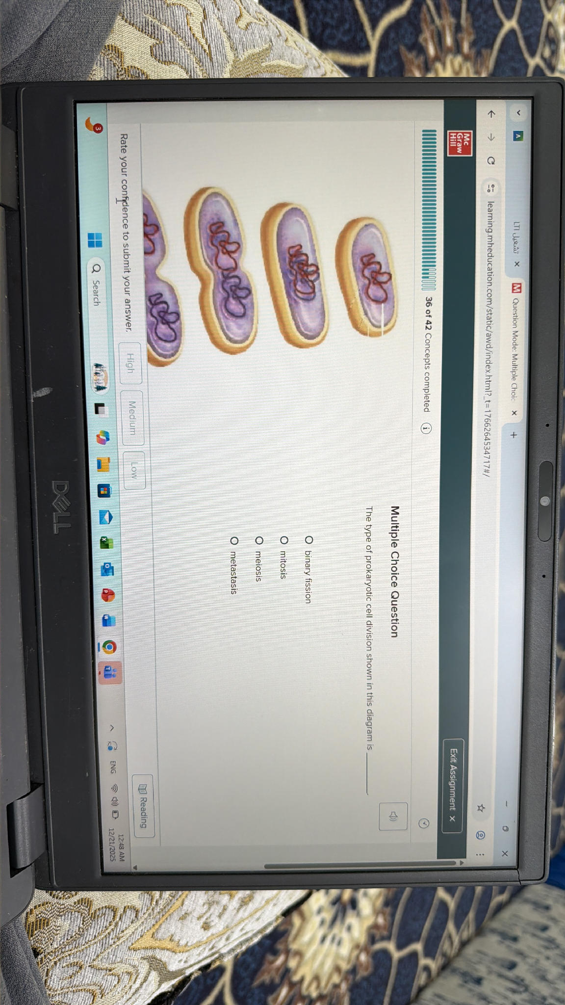 The type of prokaryotic cell division shown | StudyX