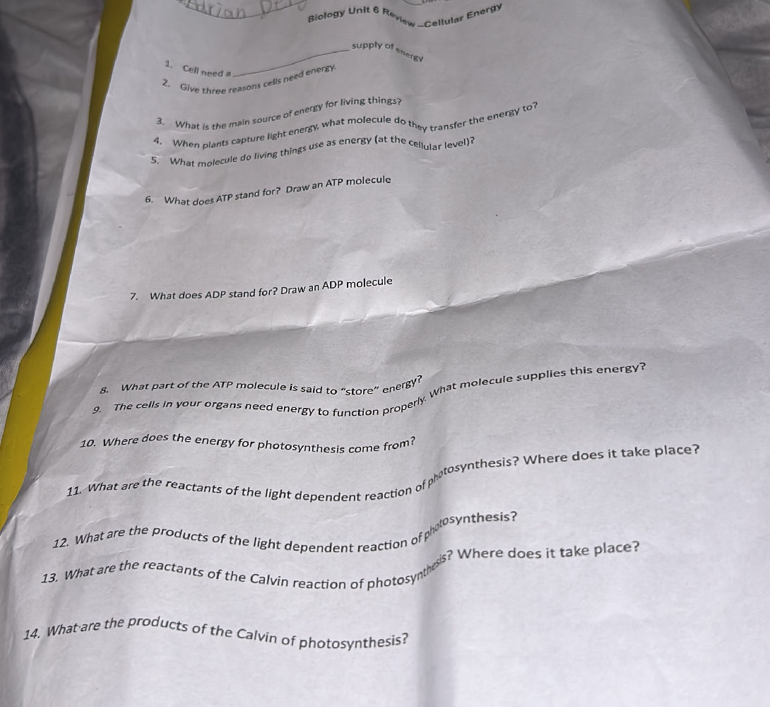 1. Cell need a __________ supply of energy | StudyX