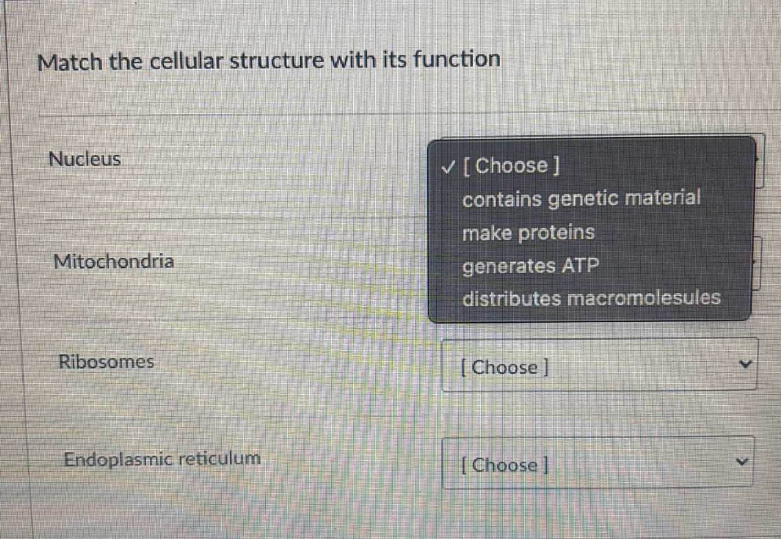 Match the cellular structure with its | StudyX