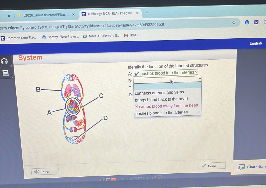 Identify the function of the labeled | StudyX