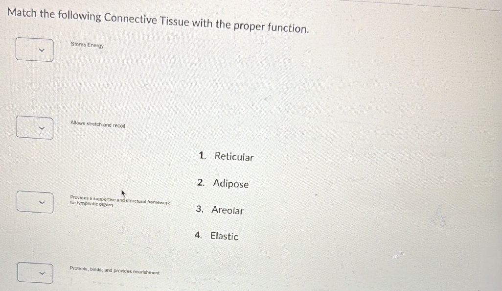 Match the following Connective Tissue with | StudyX