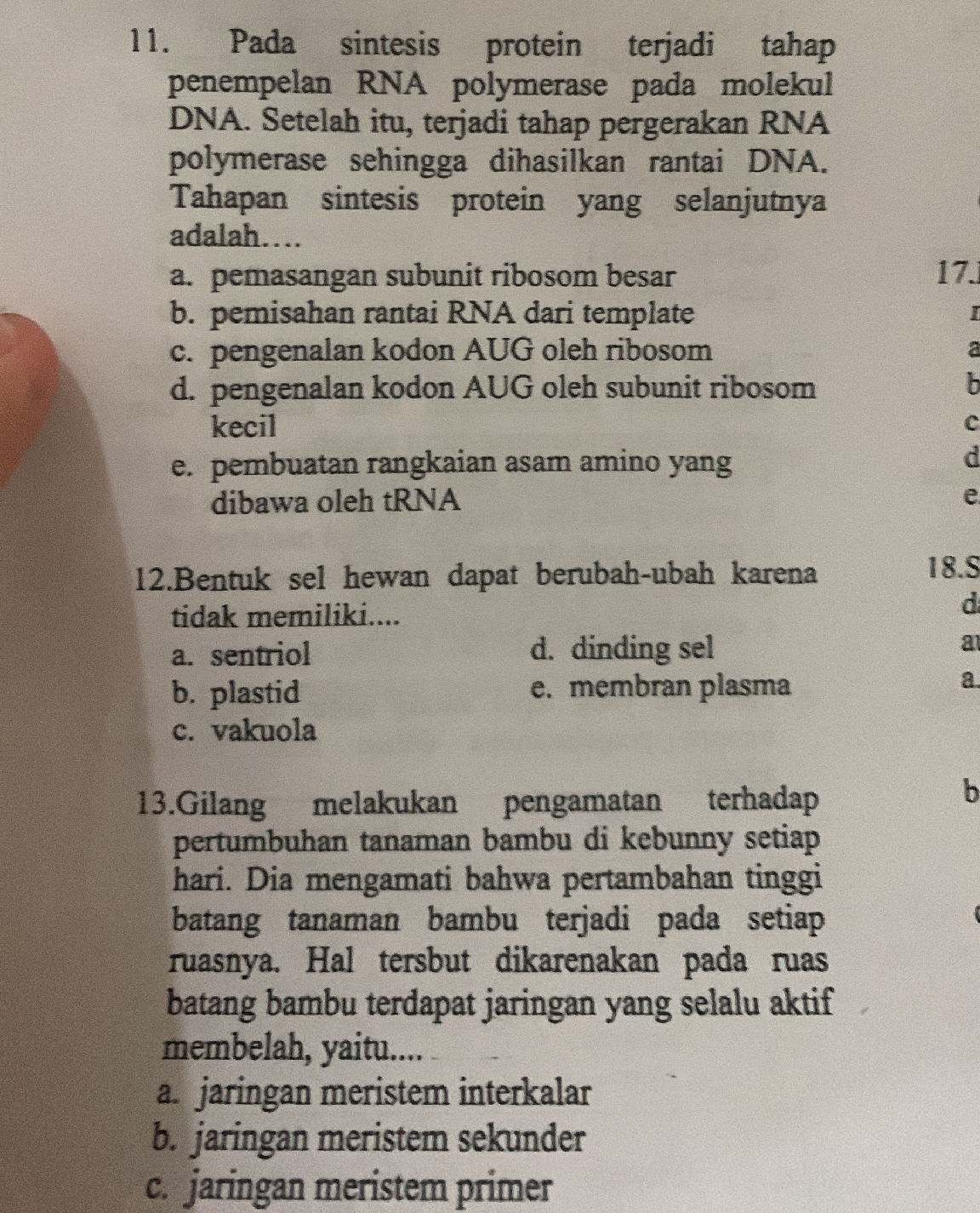 11. Pada sintesis protein terjadi tahap | StudyX