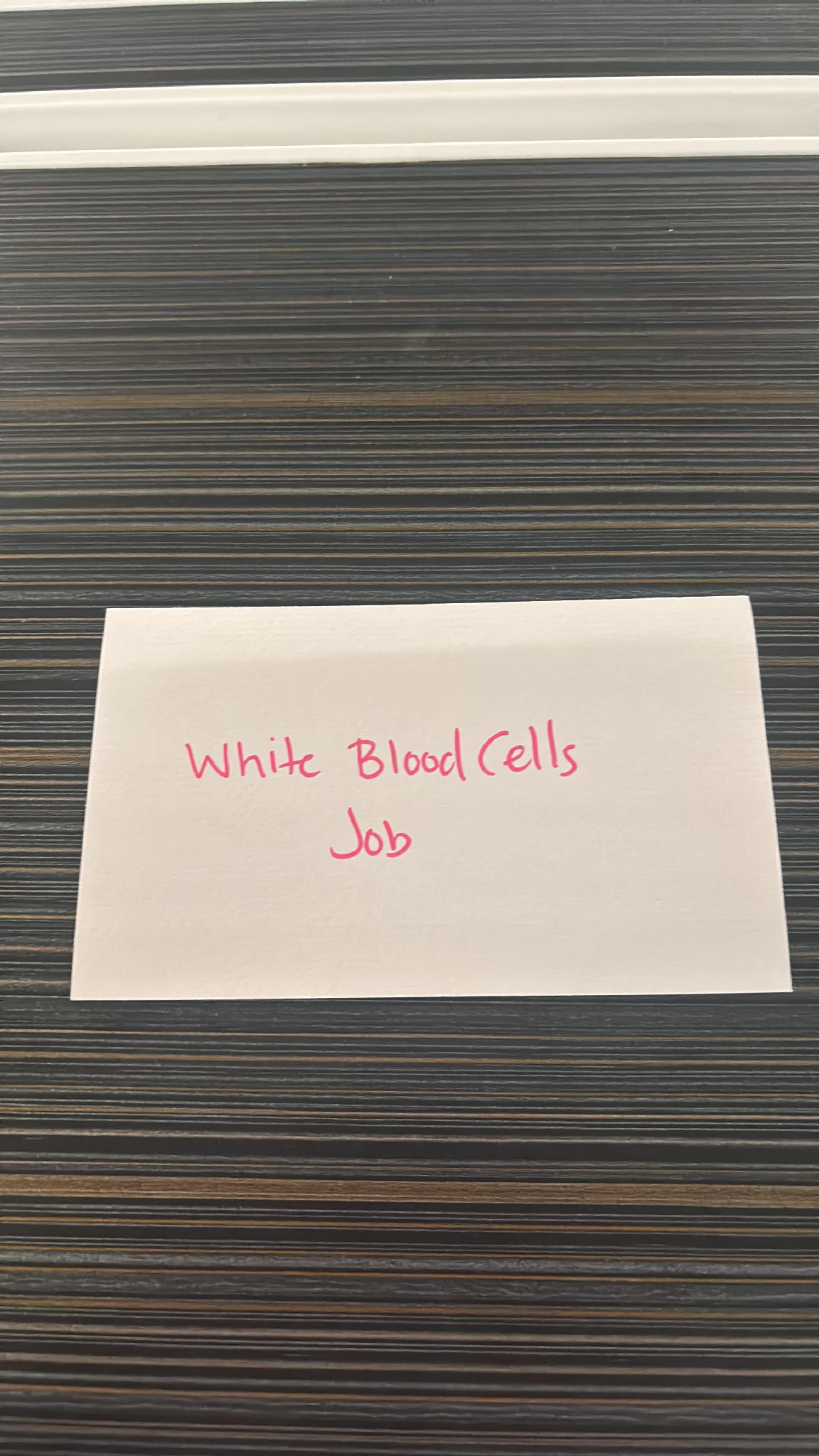 Function of White Blood Cells | StudyX