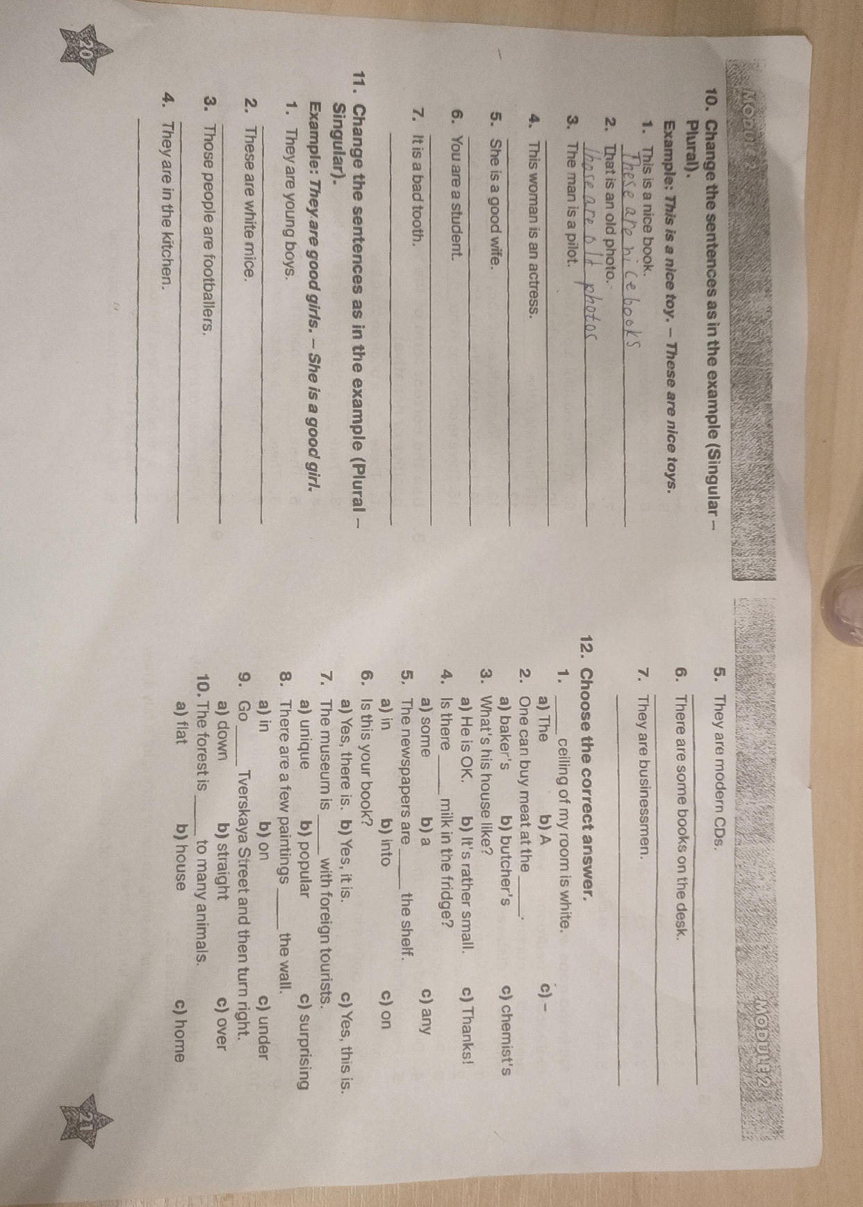10. Change the sentences as in the example | StudyX