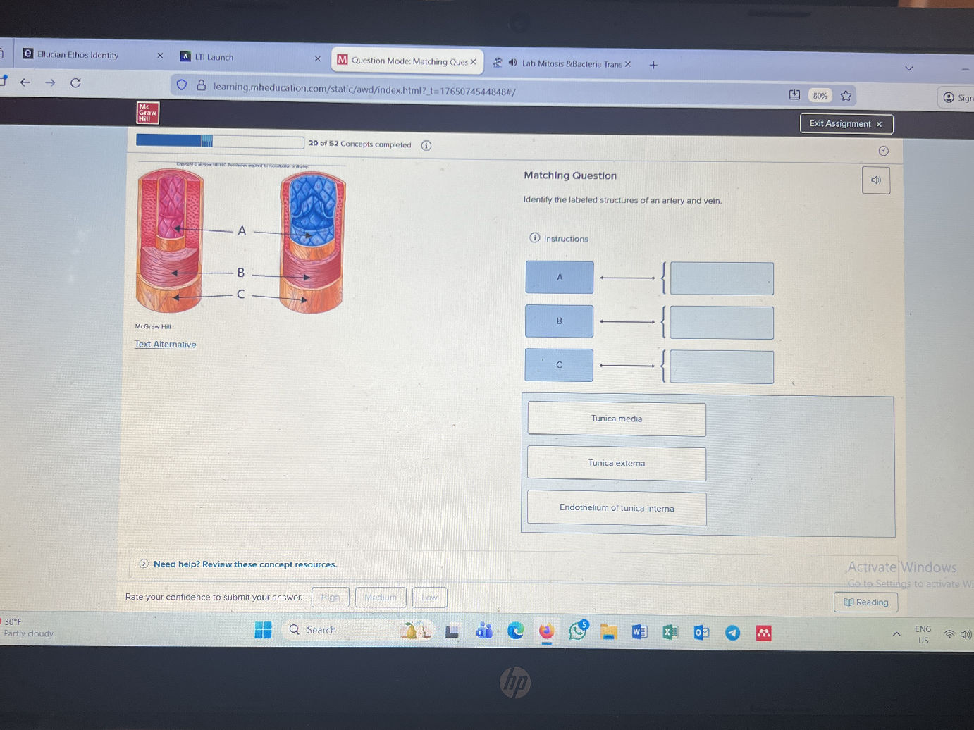 Matching Question Identify the labeled | StudyX