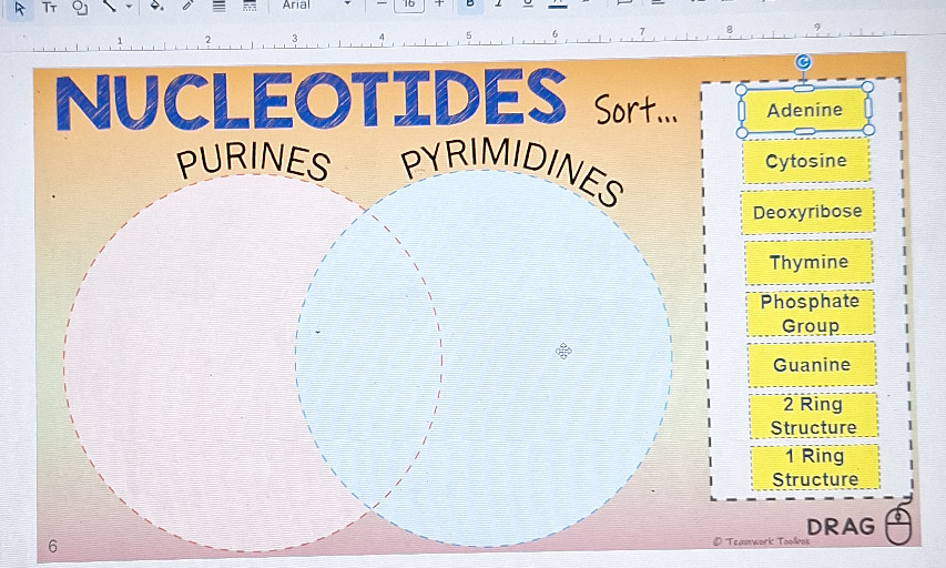 The following is a sorting activity related | StudyX