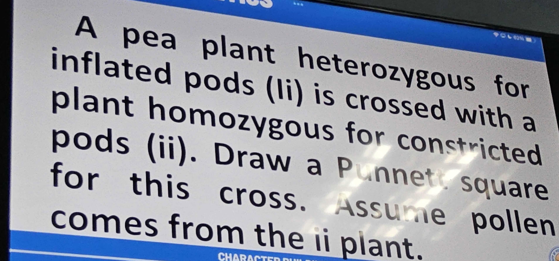 A pea plant heterozygous for inflated pods | StudyX