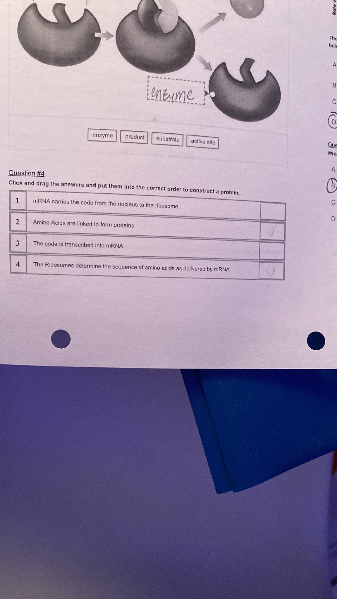 Identify the labels for the diagram showing | StudyX