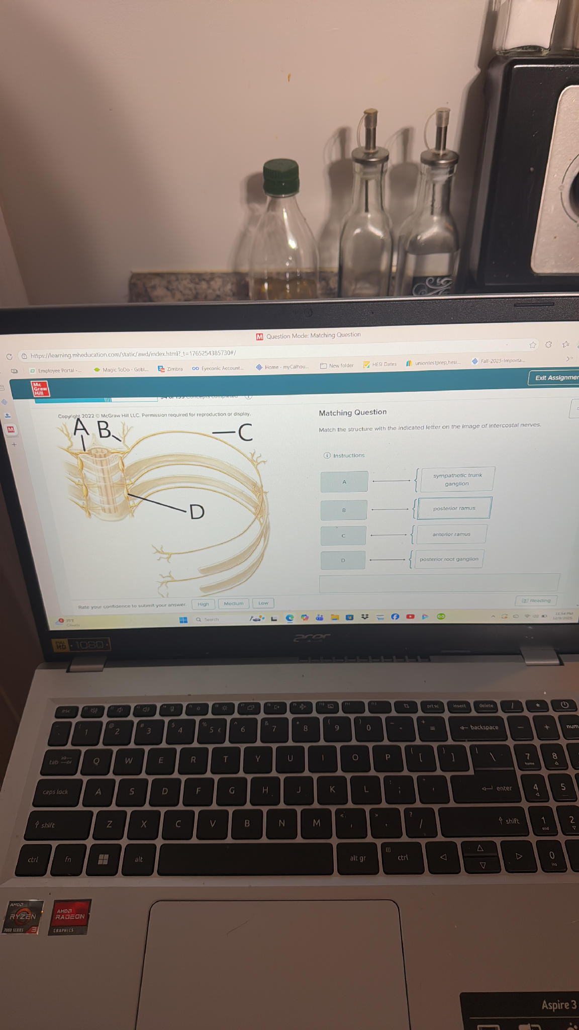 Match the structure with the indicated | StudyX