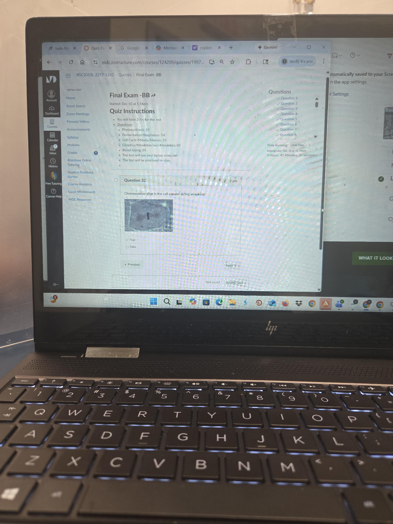 Question 32 (2 pts) Chromosomes align in | StudyX