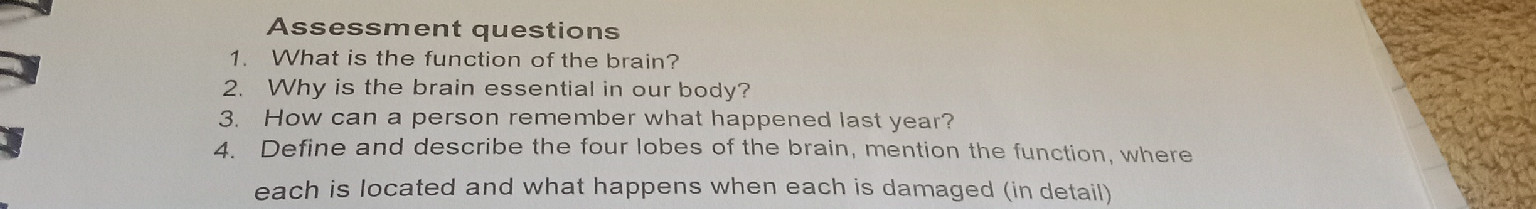 1. What is the function of the brain? 2. | StudyX