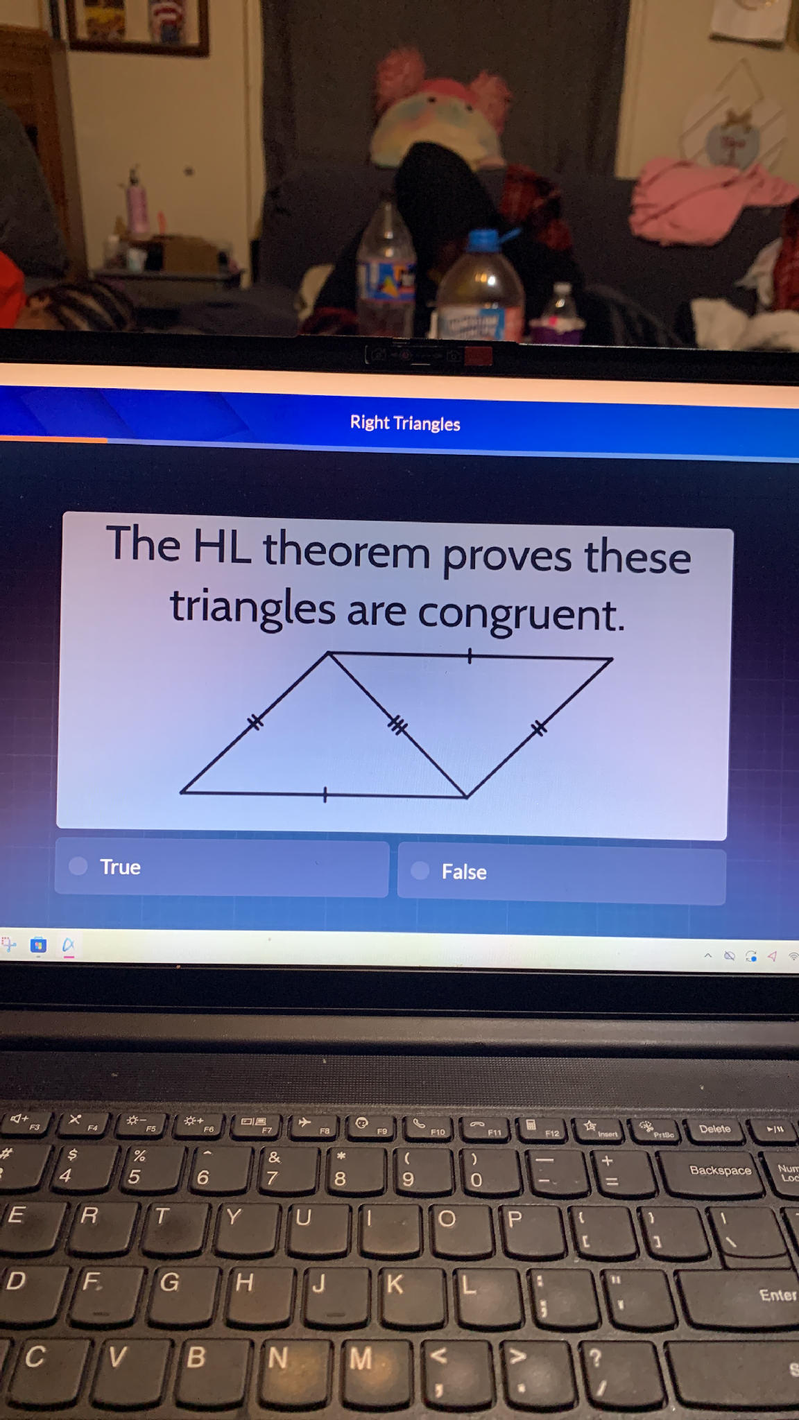 The HL theorem proves these triangles are | StudyX