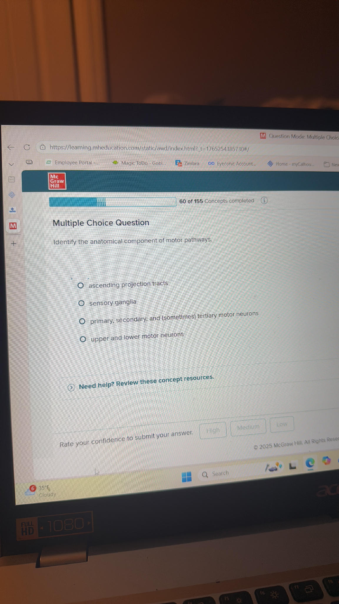 Identify the anatomical component of motor | StudyX