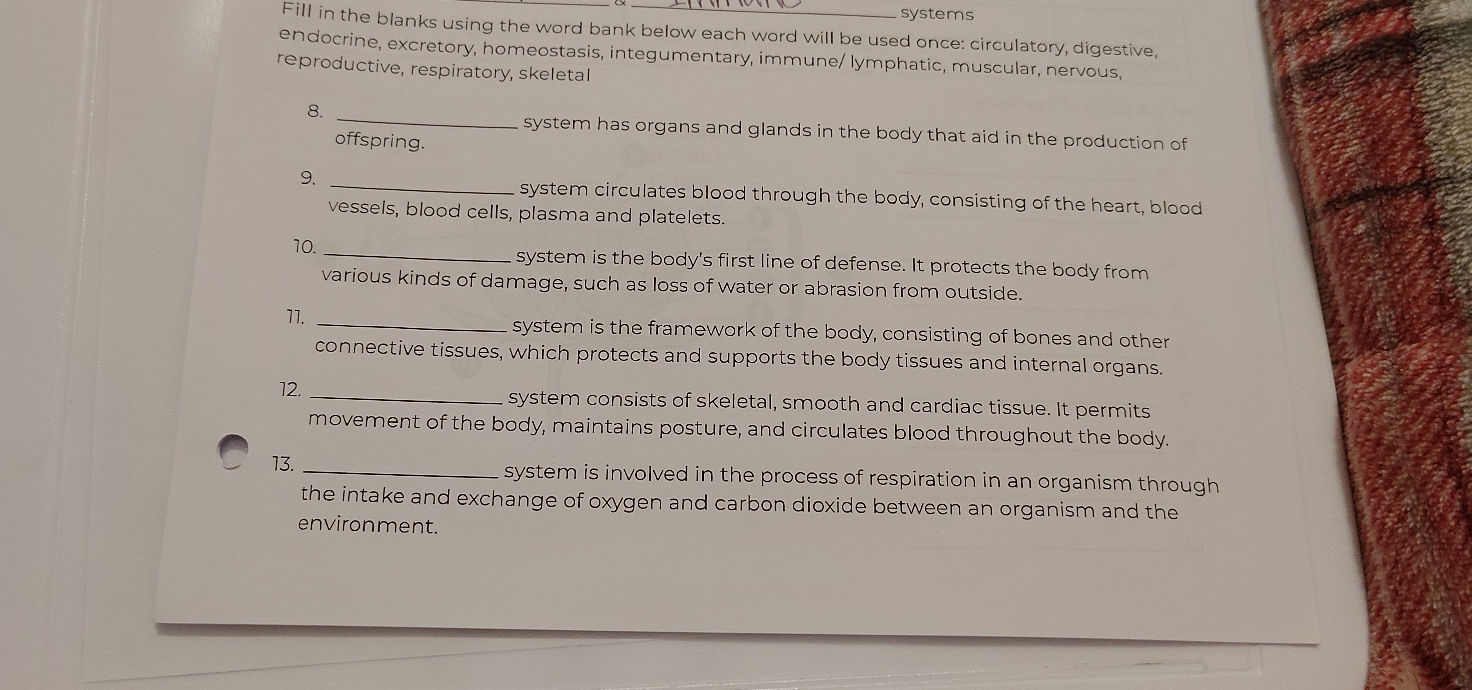 Fill in the blanks using the word bank below | StudyX