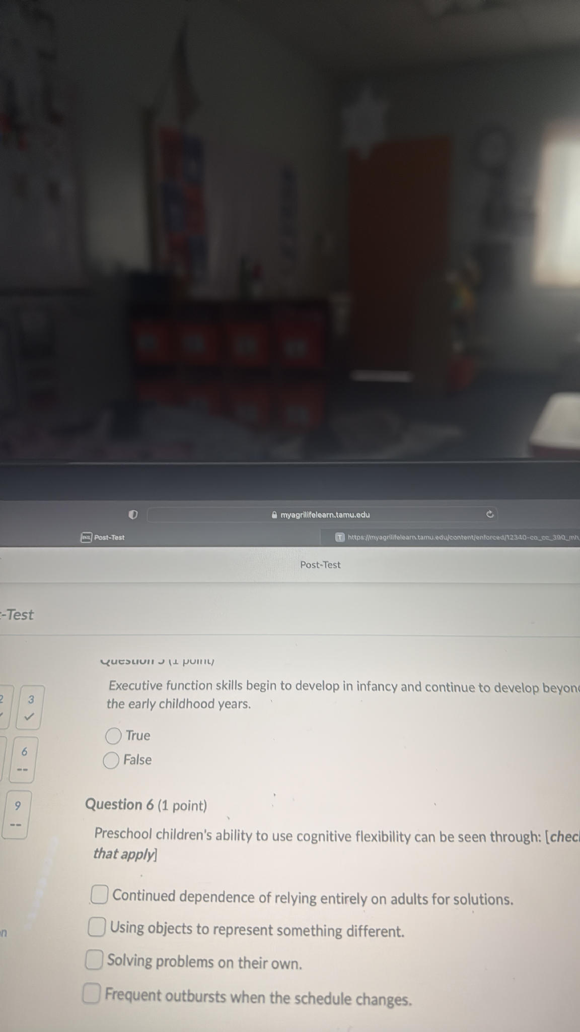 Question (1 point) Executive function | StudyX