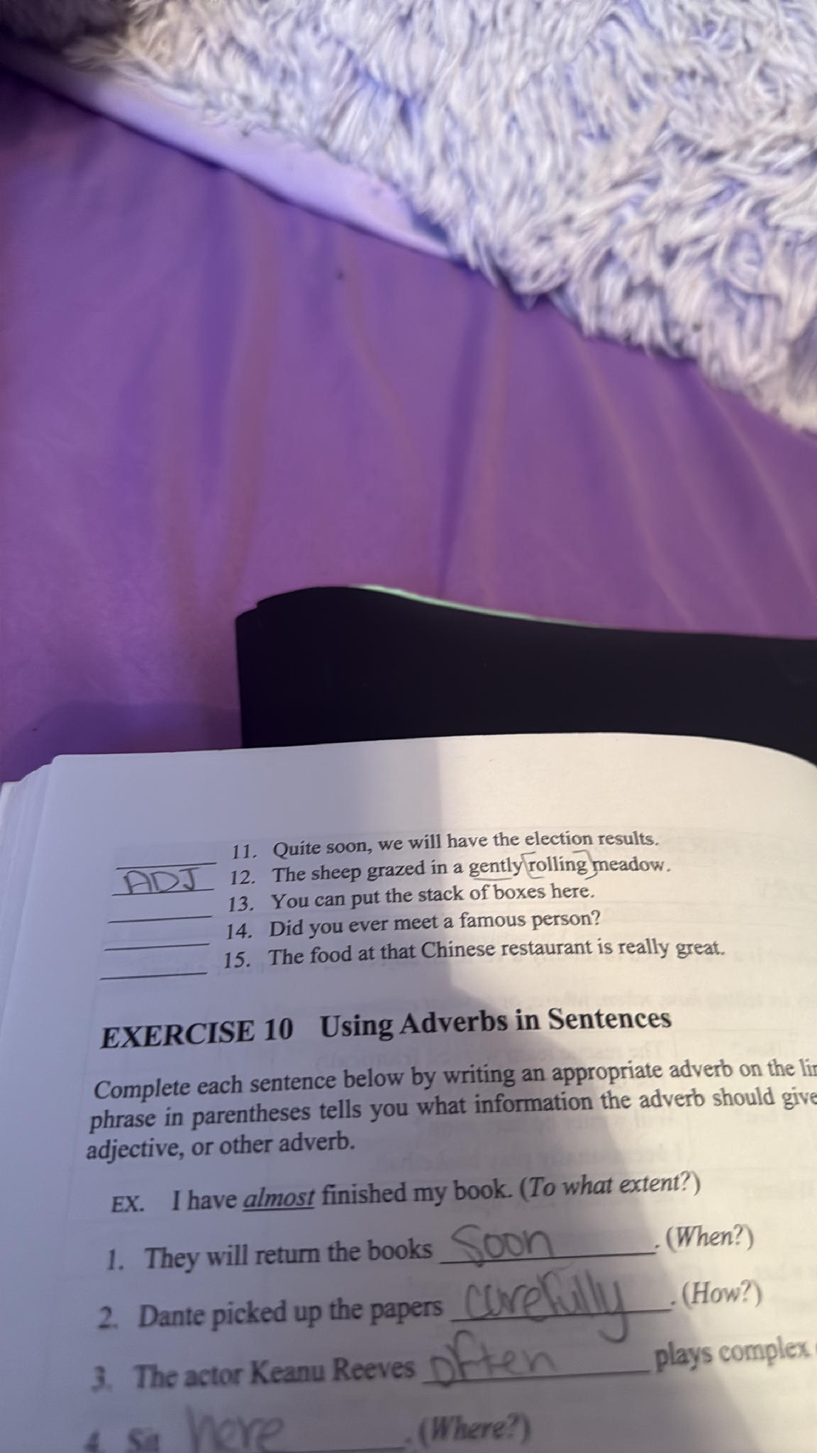 EXERCISE 10 Using Adverbs in Sentences | StudyX