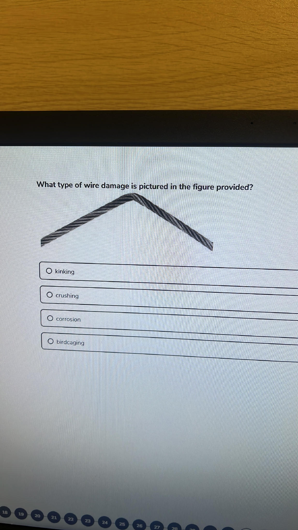What type of wire damage is pictured in the | StudyX