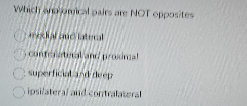 Which anatomical pairs are NOT opposites | StudyX