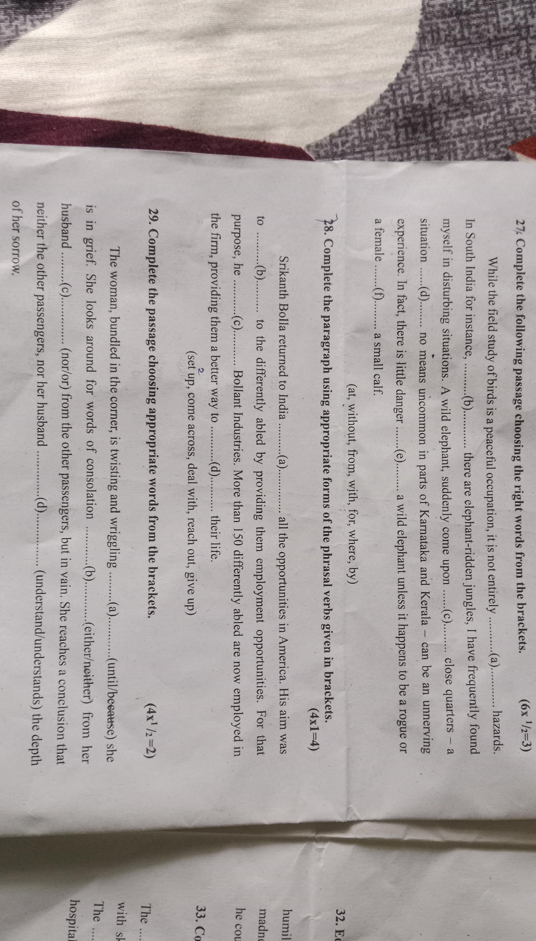 Complete the paragraph using appropriate | StudyX