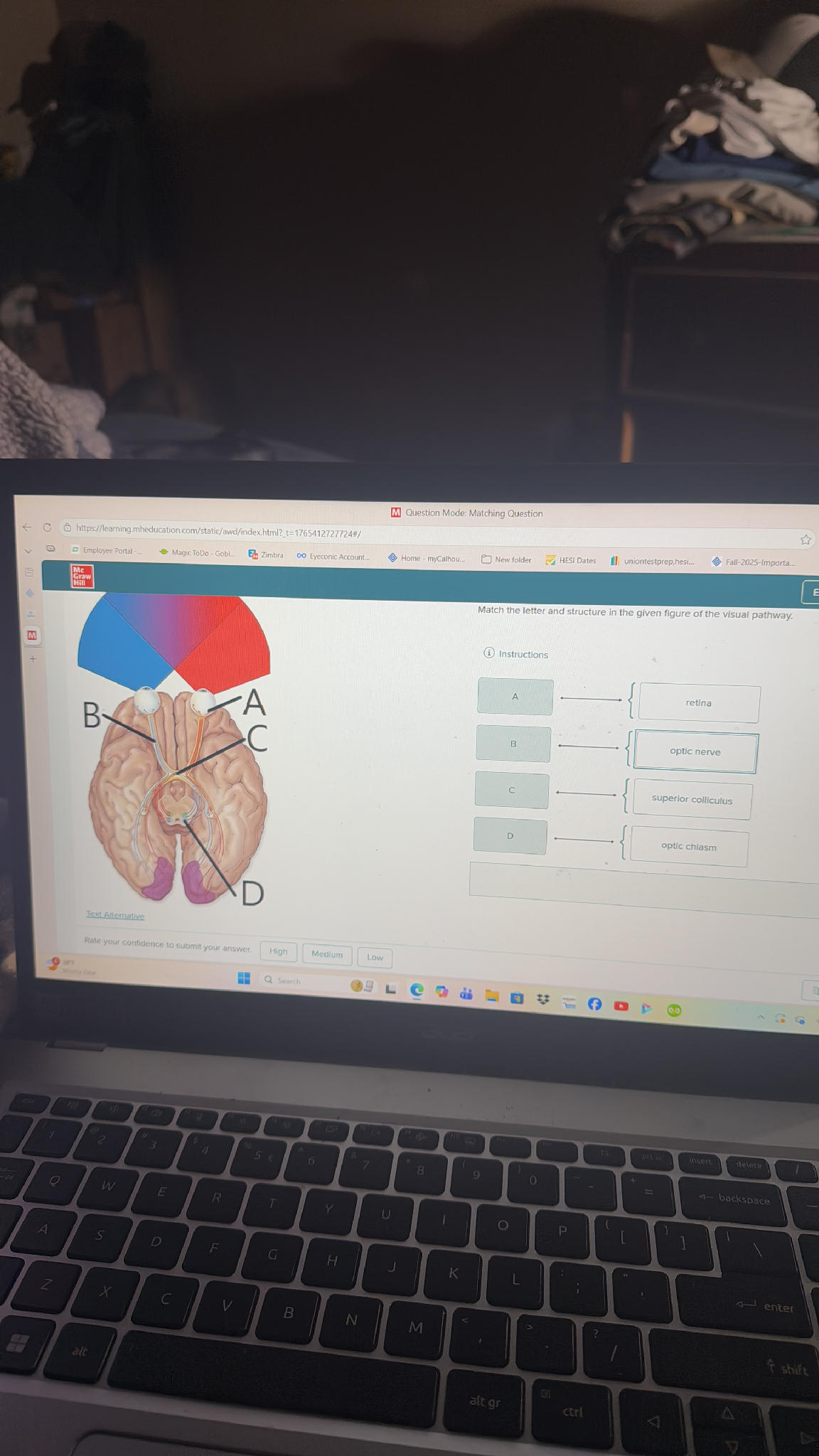 Match the letter and structure in the given | StudyX