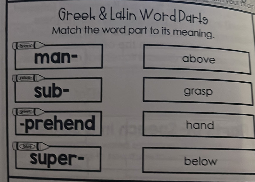 Greek Latin Word Parts Match the word | StudyX