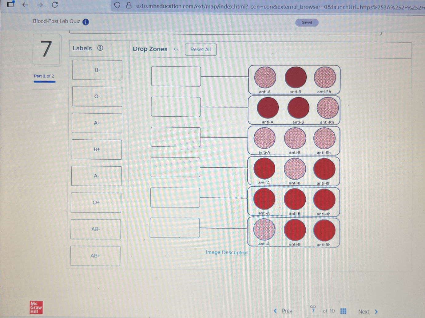 Match the blood type labels on the left (B-, | StudyX