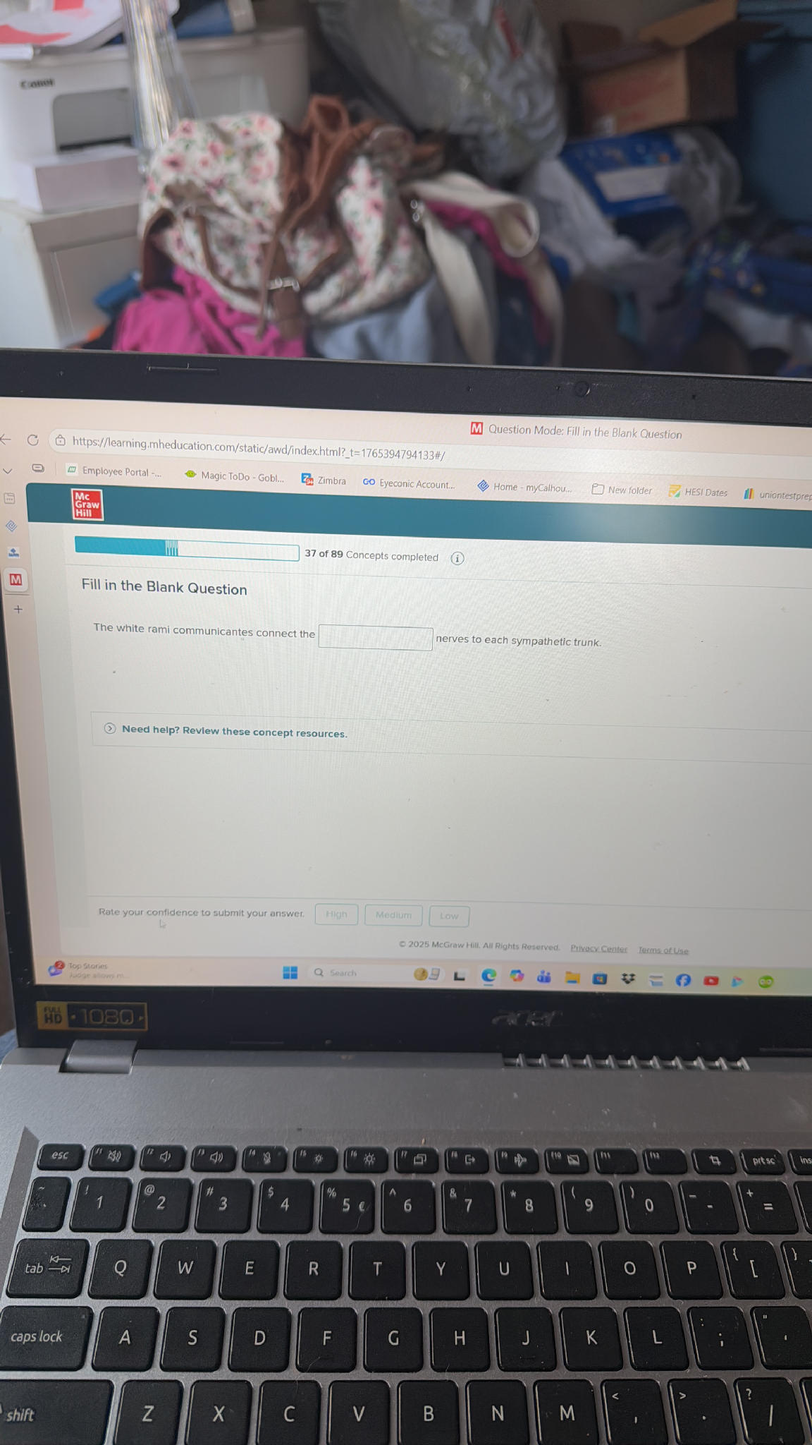 Fill in the Blank Question The white rami | StudyX