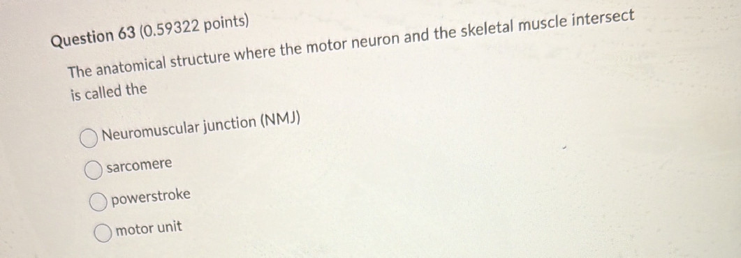 The anatomical structure where the motor | StudyX