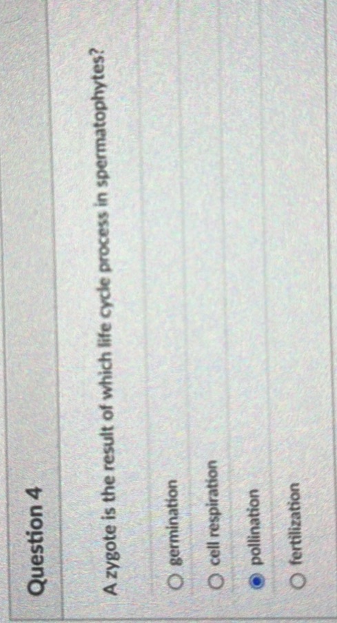 A zygote is the result of which life cycle | StudyX