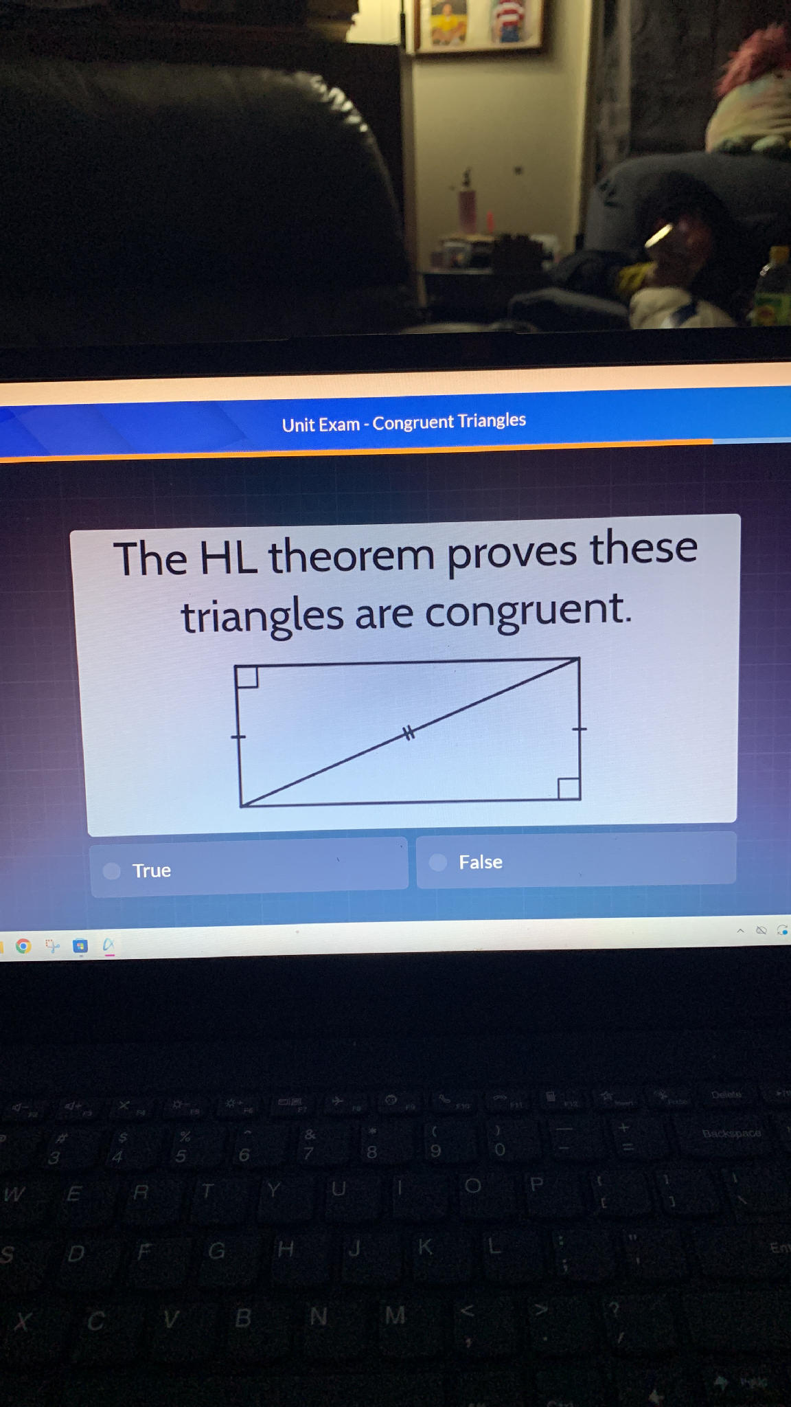 The HL theorem proves these triangles are | StudyX