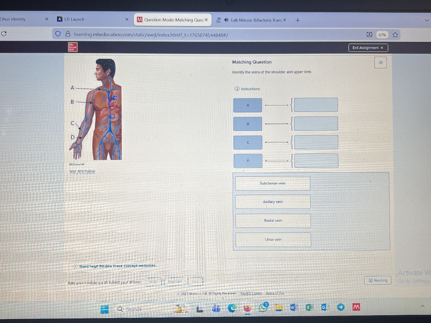 Matching Question Identify the veins of the | StudyX