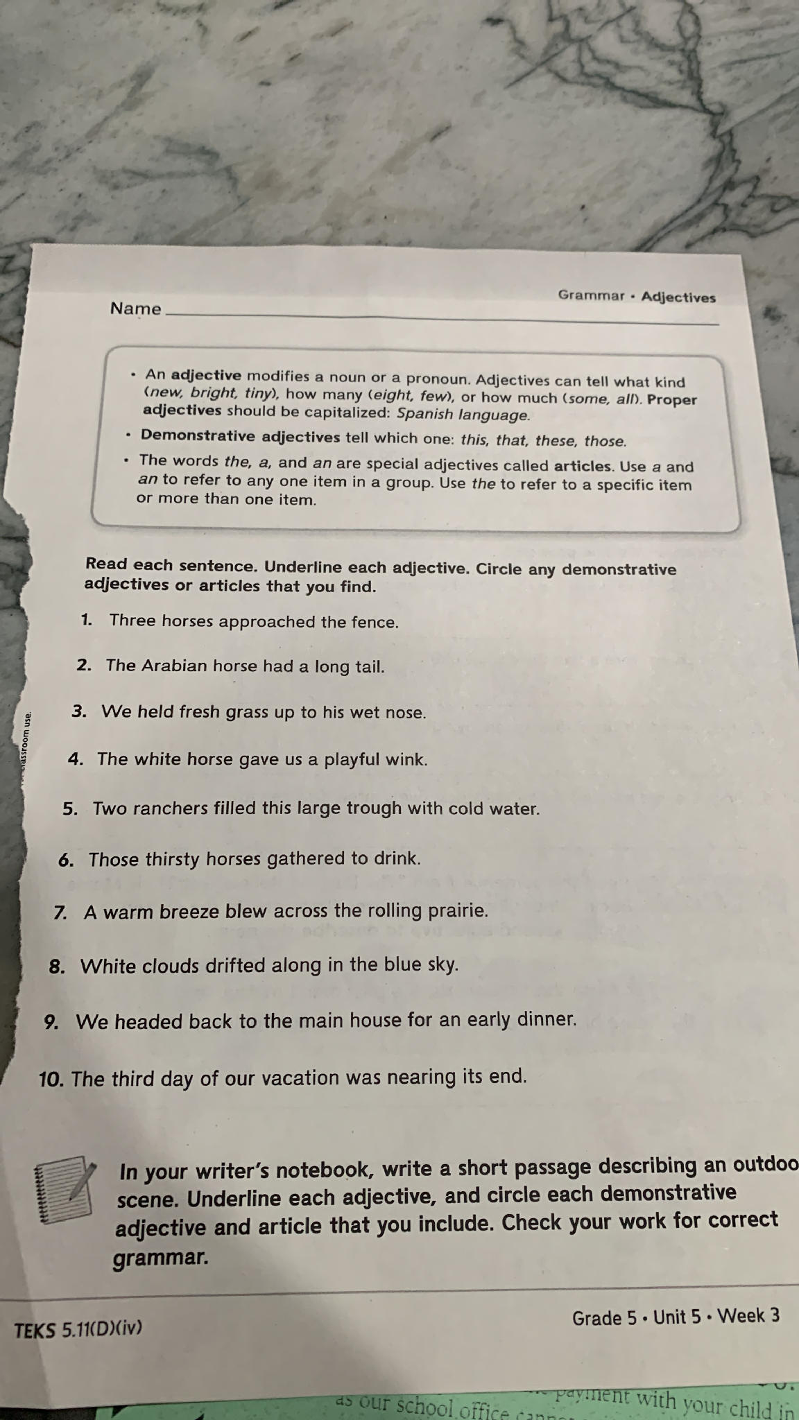 An adjective modifies a noun or a pronoun. | StudyX