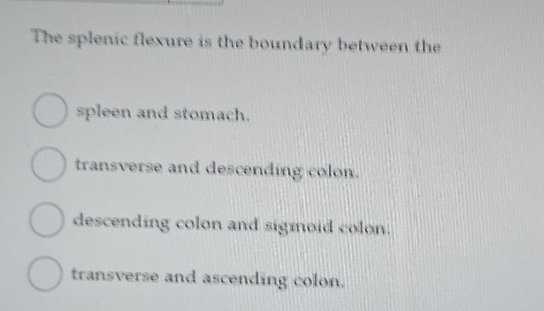 The splenic flexure is the boundary between | StudyX