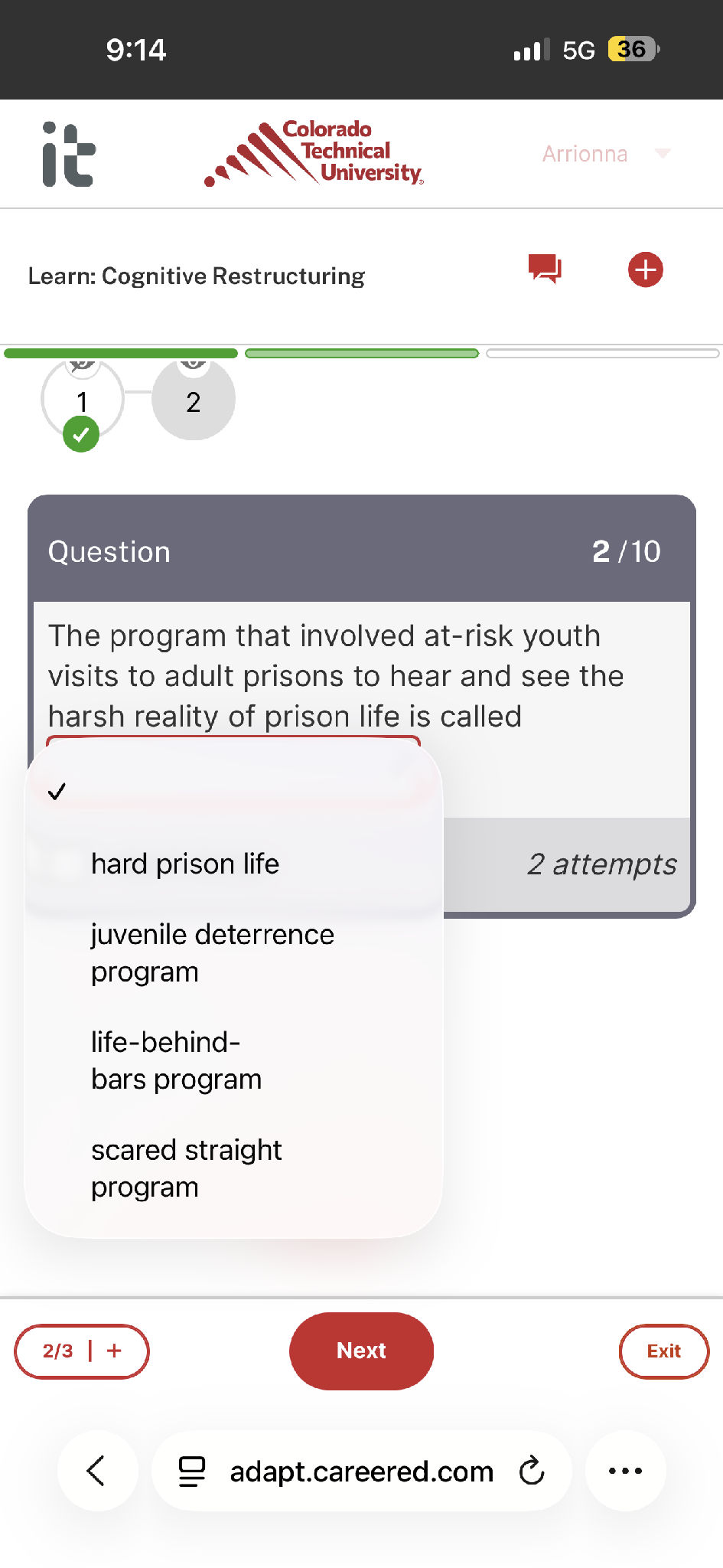 The program that involved at-risk youth | StudyX