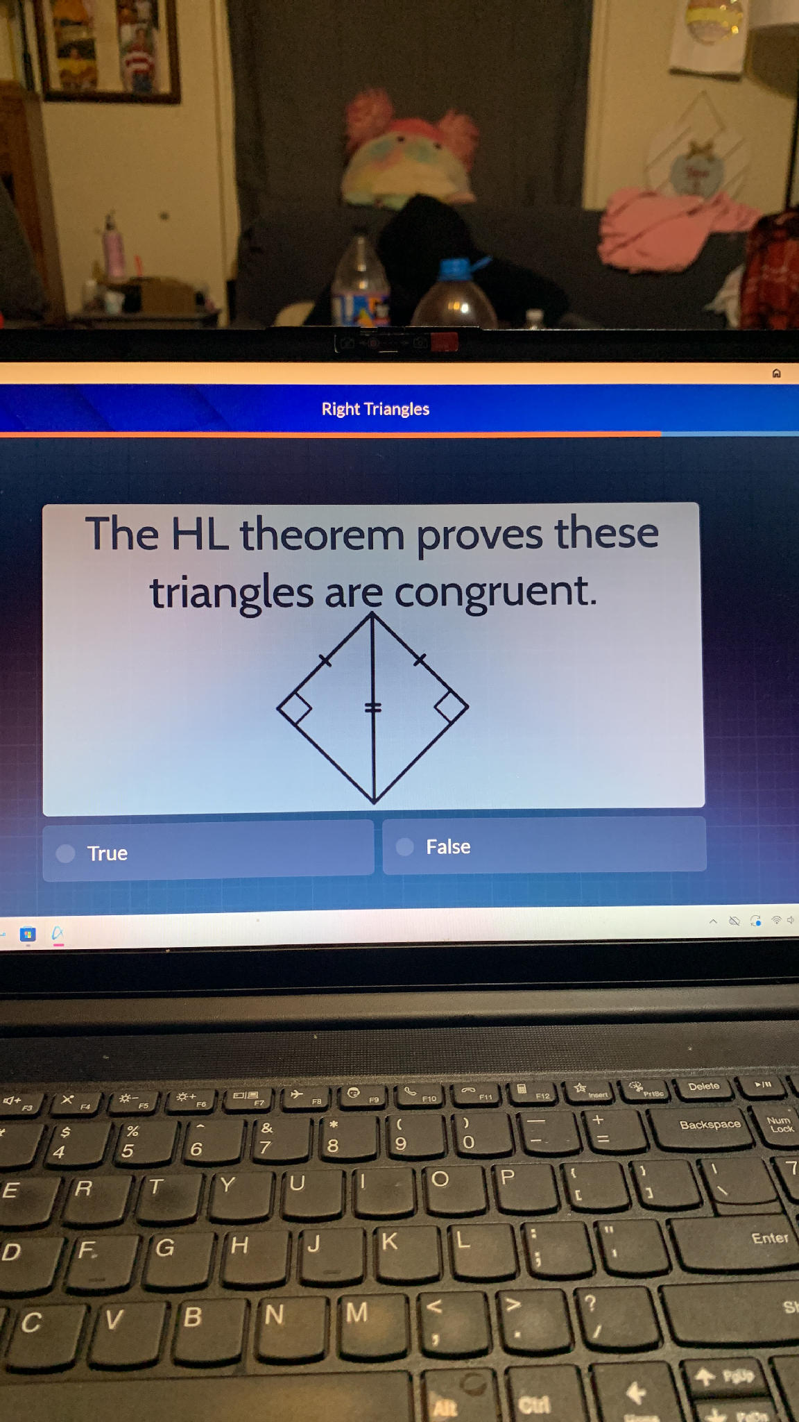 The HL theorem proves these triangles are | StudyX