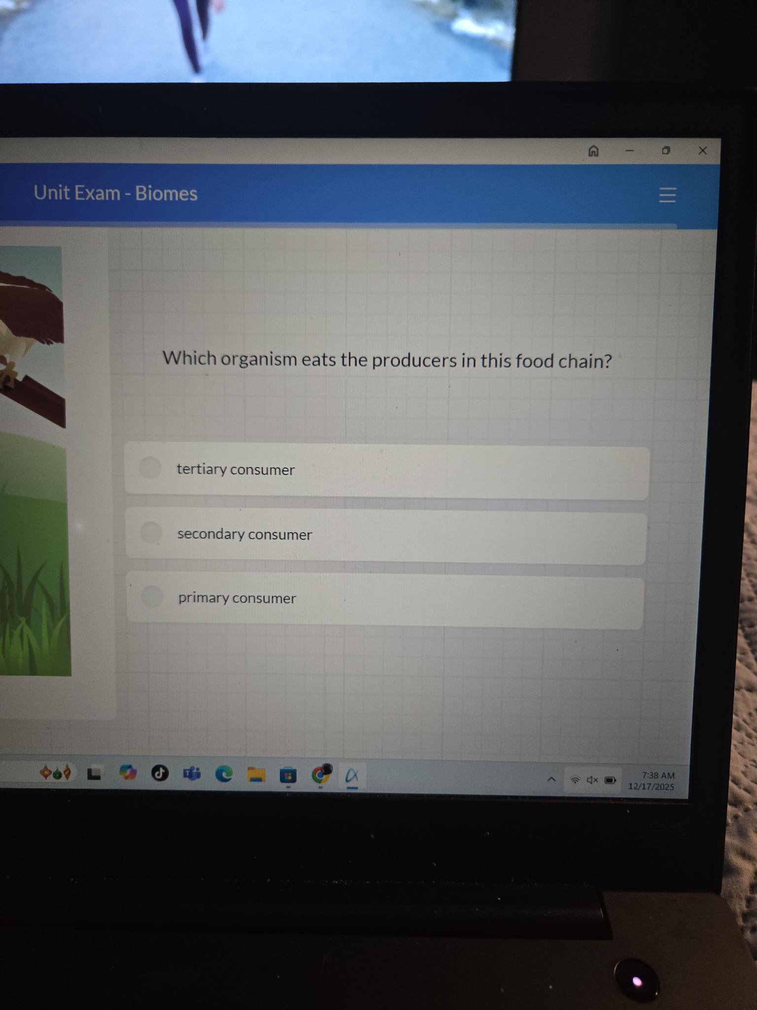 Which organism eats the producers in this | StudyX