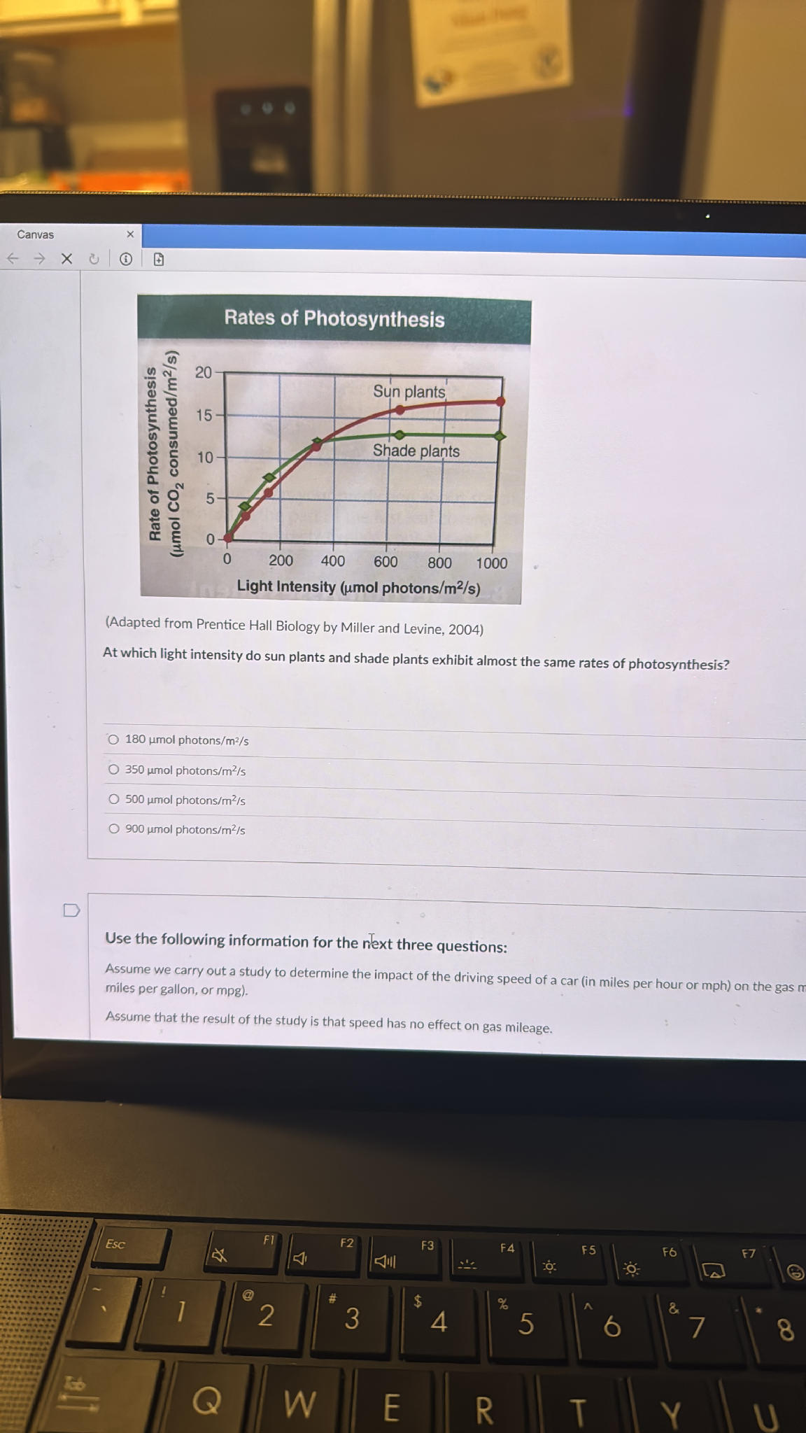 Rates of Photosynthesis (Adapted from | StudyX