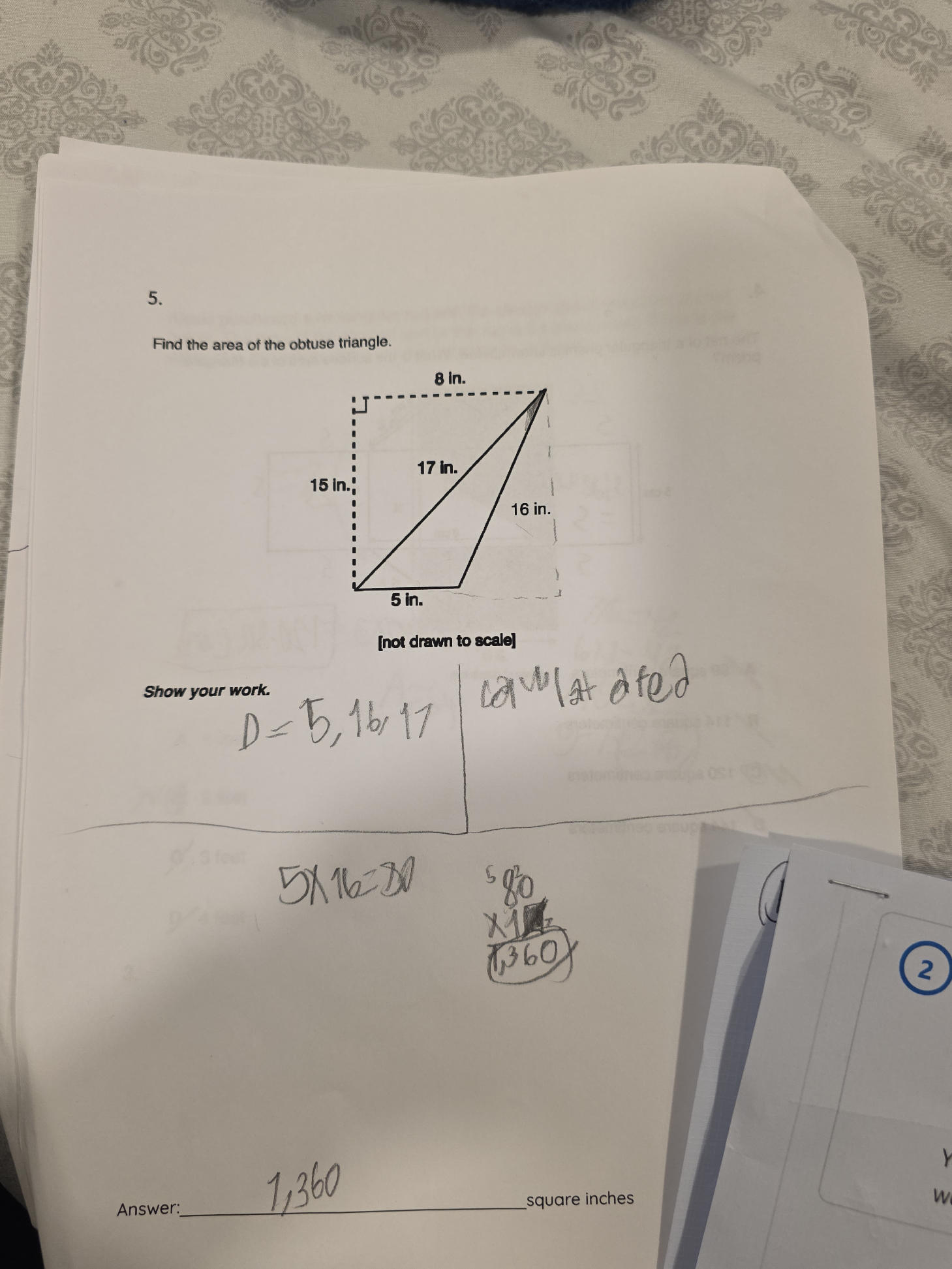 5. Find the area of the obtuse triangle. | StudyX