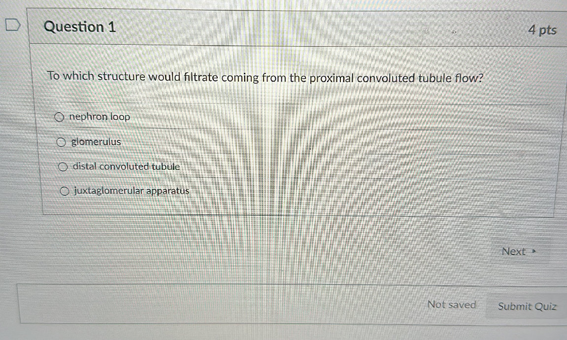 To which structure would filtrate coming | StudyX