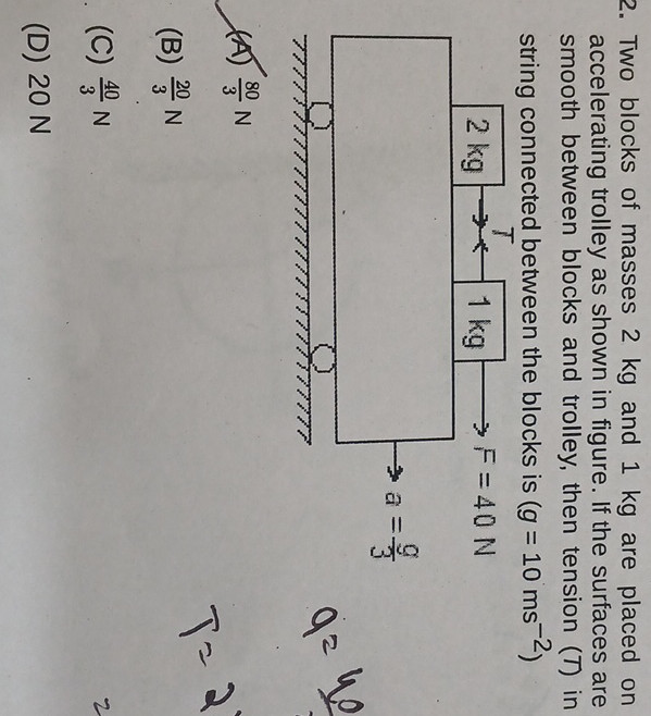 Two blocks of masses 2 kg and 1 kg are | StudyX