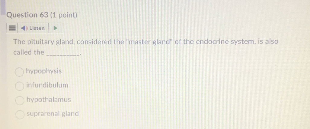 The pituitary gland, considered the "master | StudyX