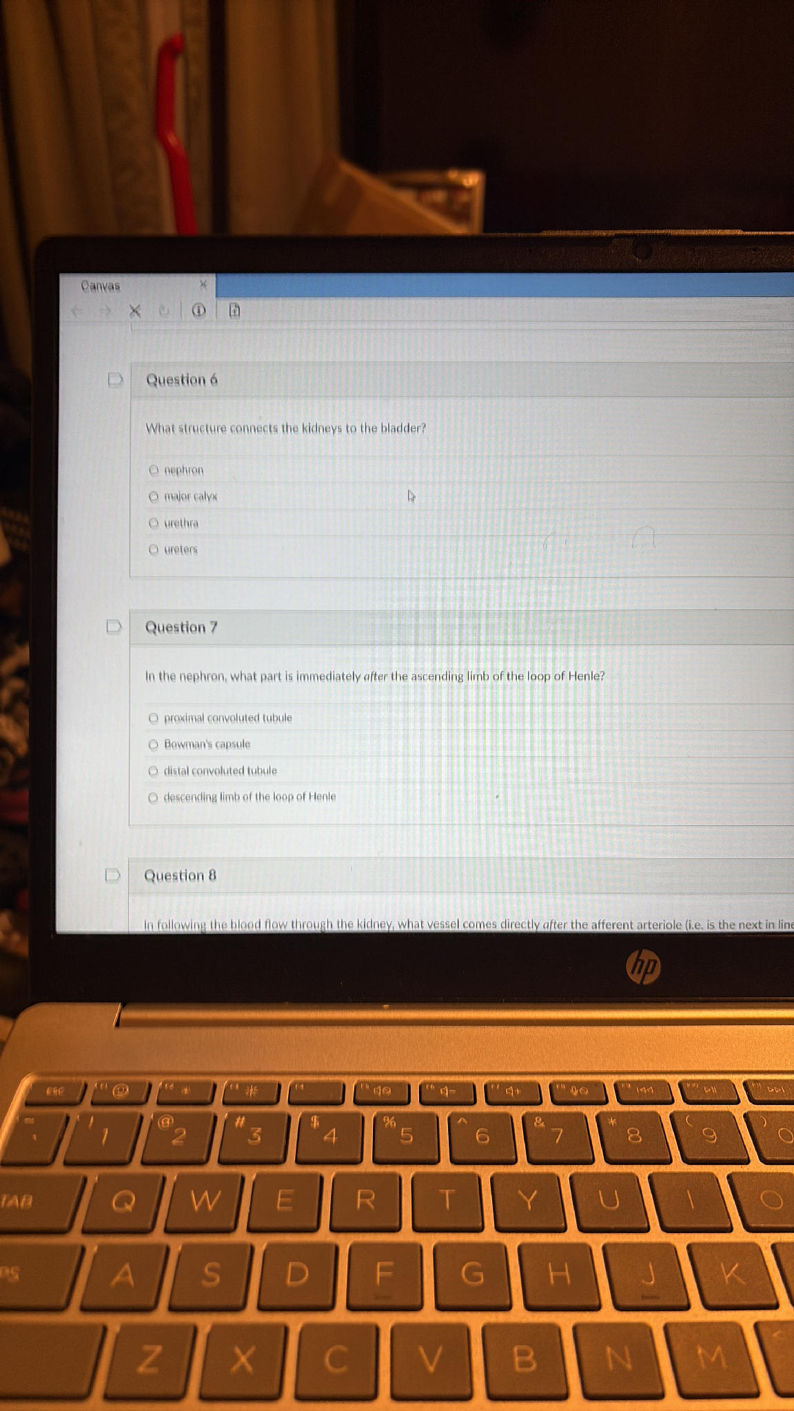 Question 6 What structure connects the | StudyX