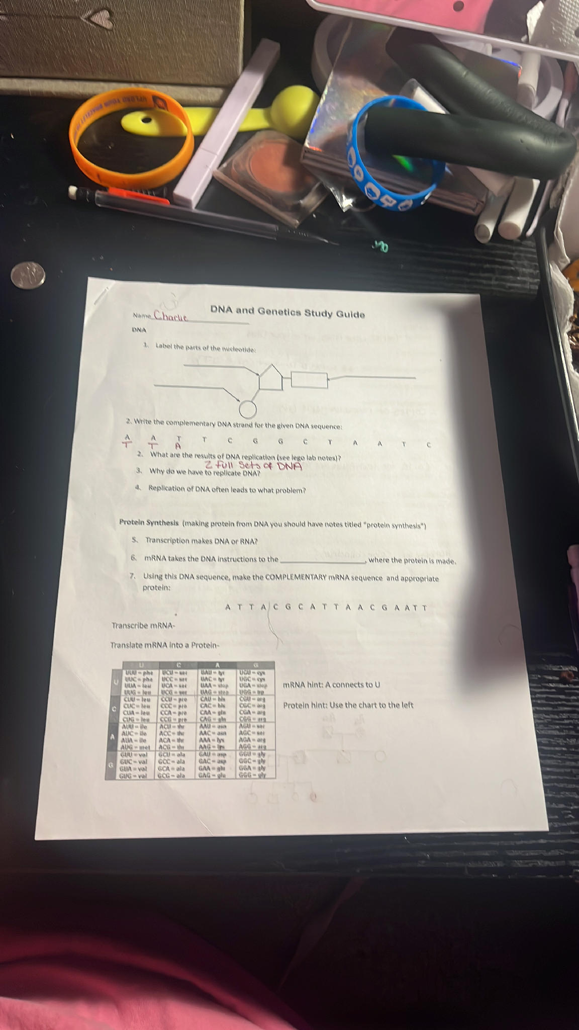 7. Using this DNA sequence, make the | StudyX
