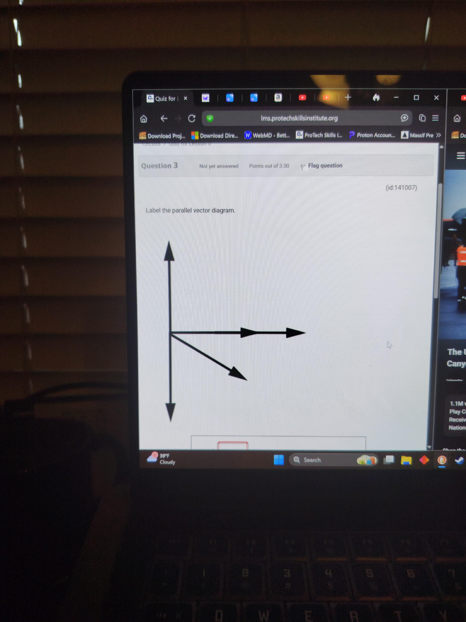 Label the parallel vector diagram | StudyX