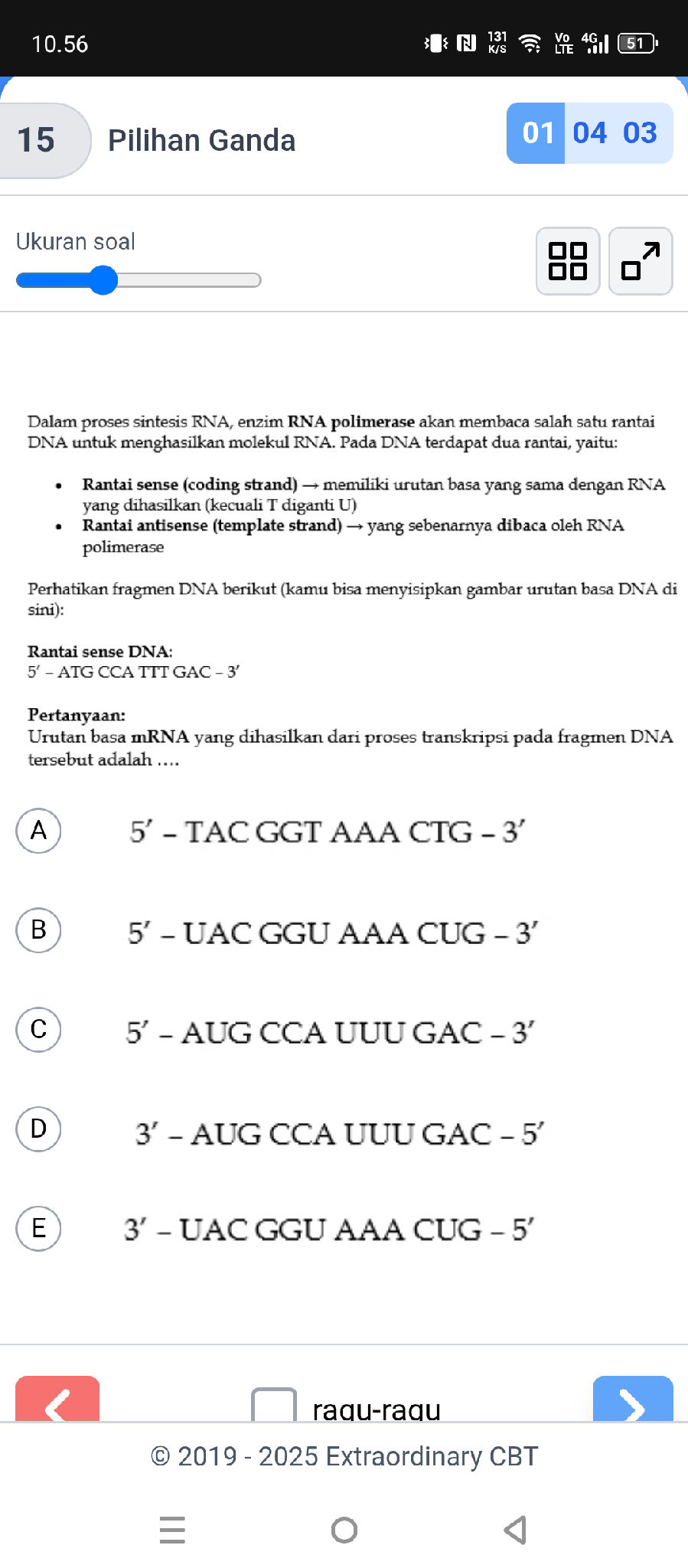Dalam proses sintesis RNA, enzim RNA | StudyX
