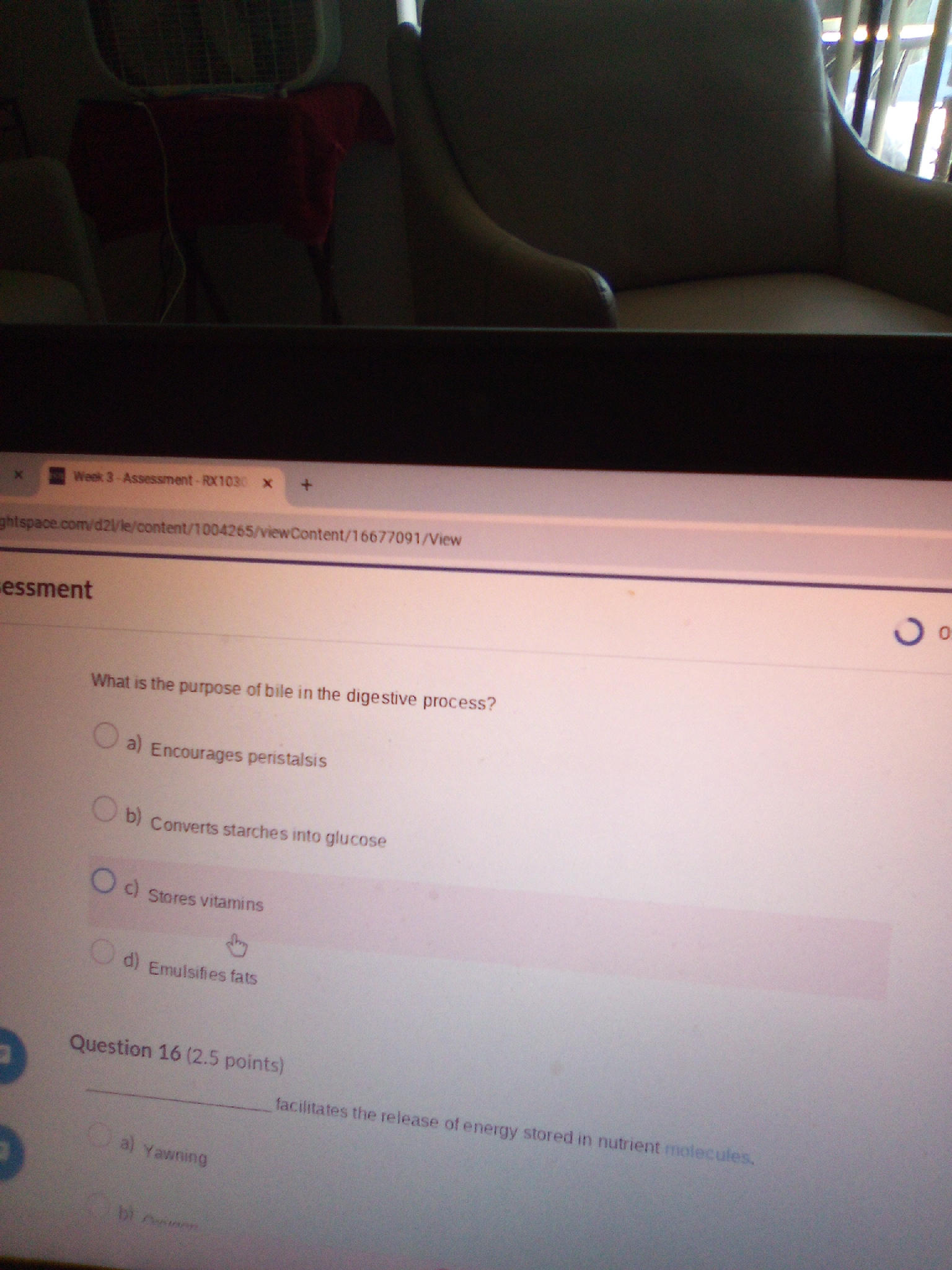 What is the purpose of bile in the digestive | StudyX