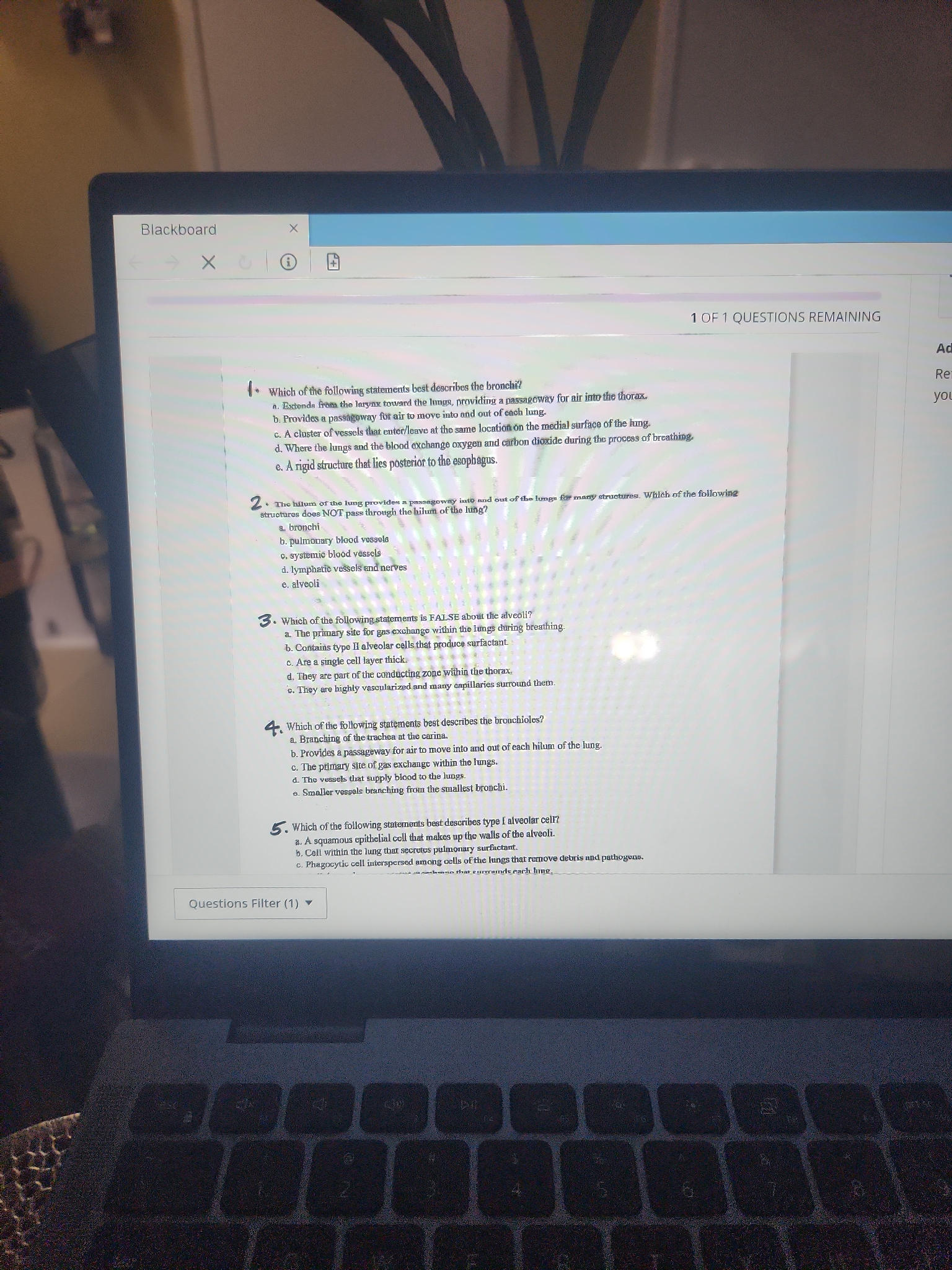 1. Which of the following statements best | StudyX