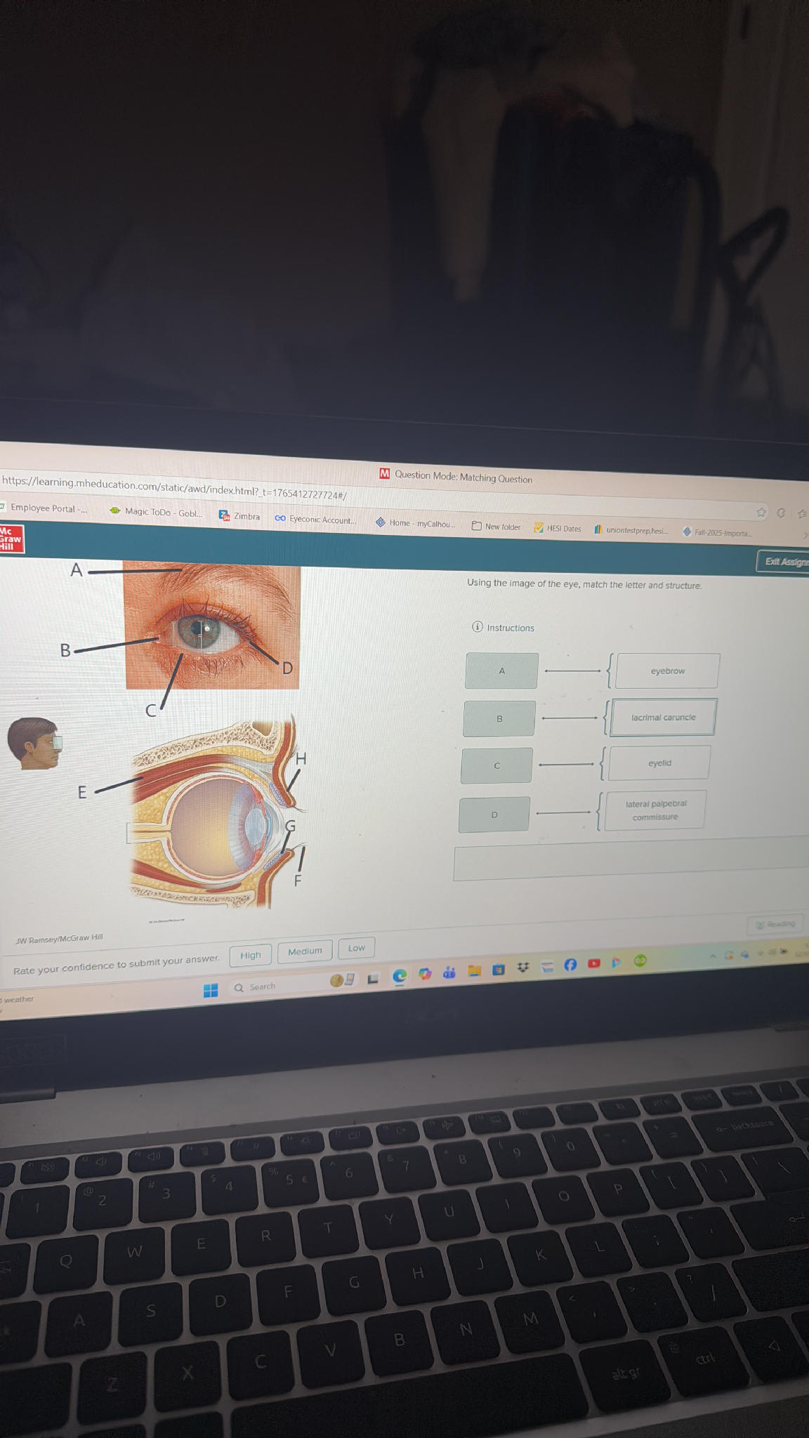 Using the image of the eye, match the letter | StudyX