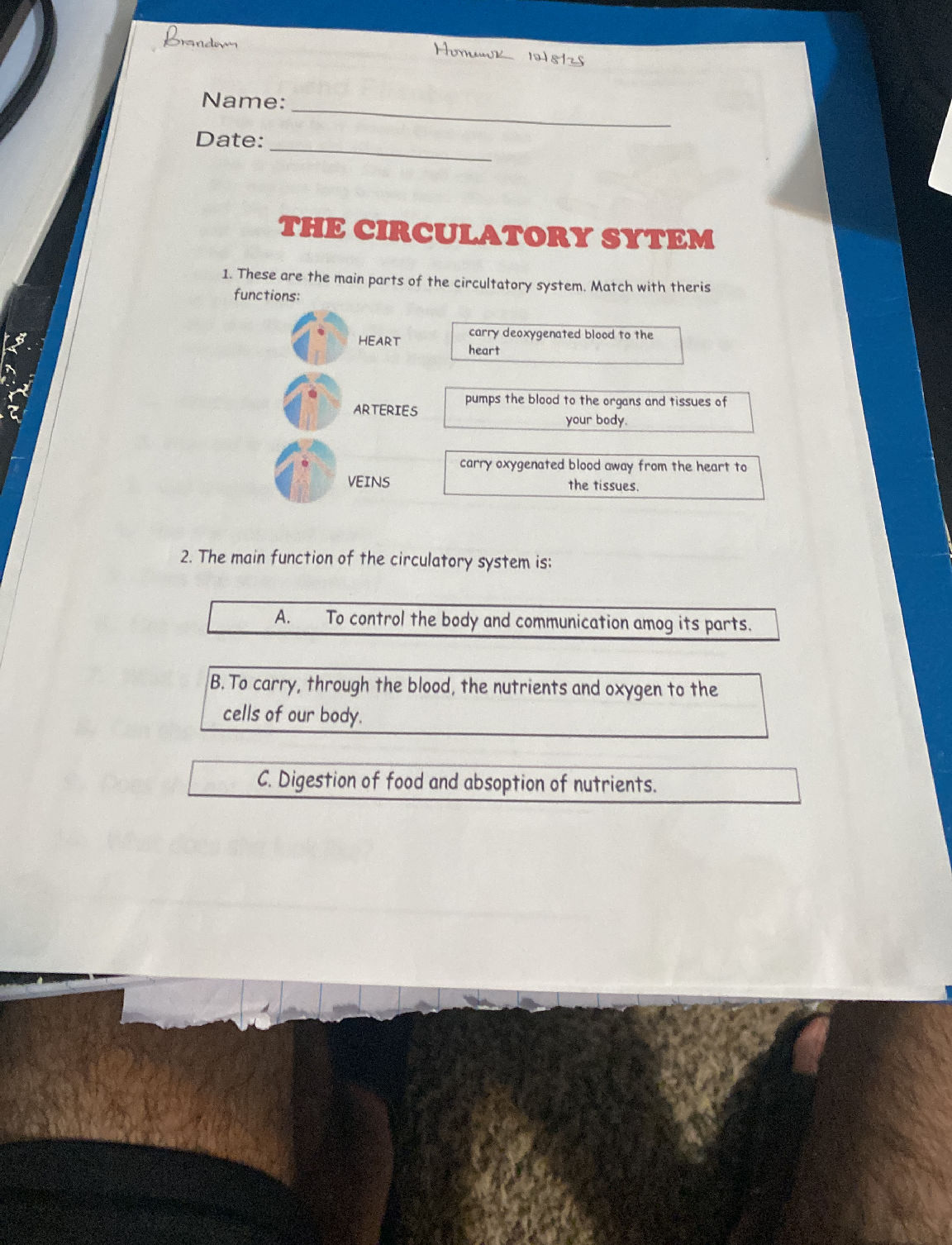 1. These are the main parts of the | StudyX