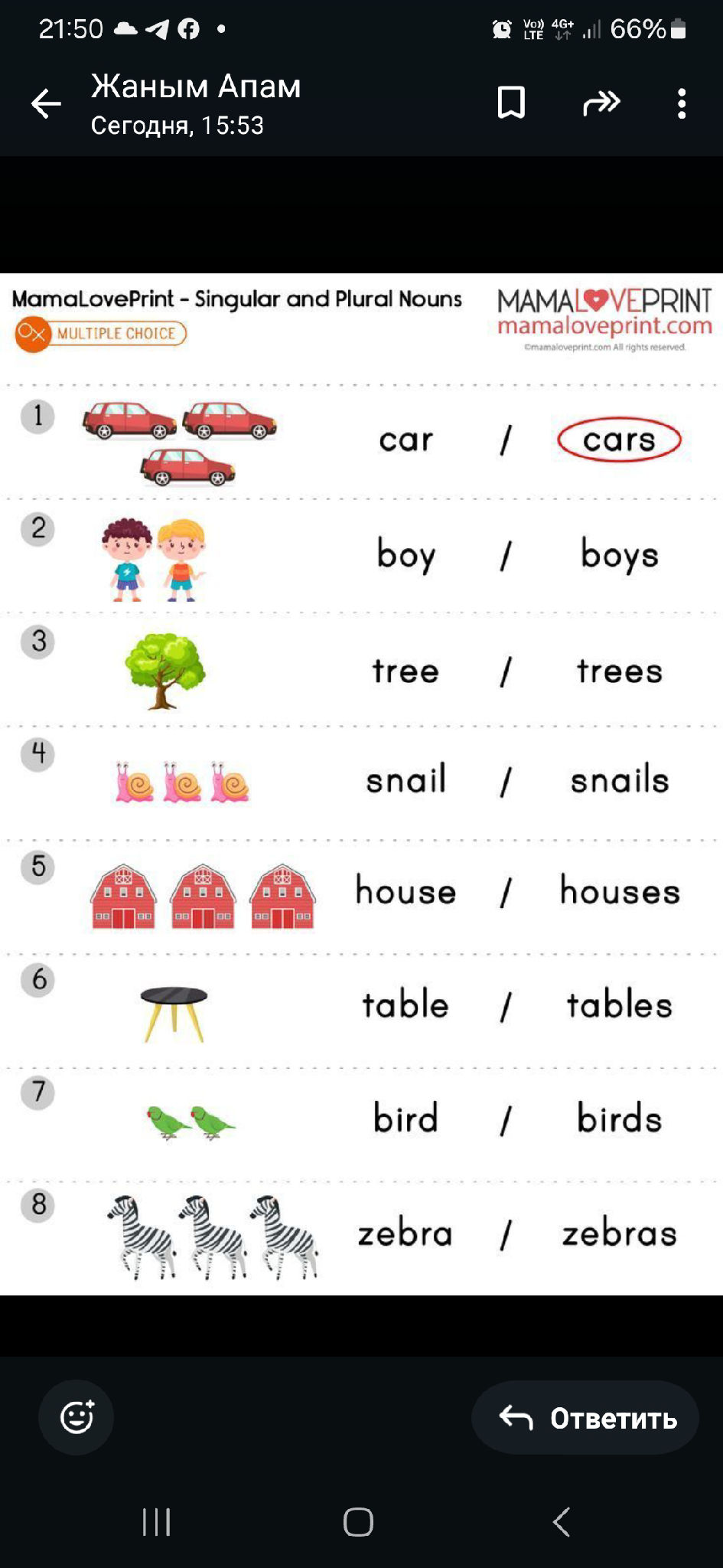 Singular and Plural Nouns - Zebra and Zebras | StudyX